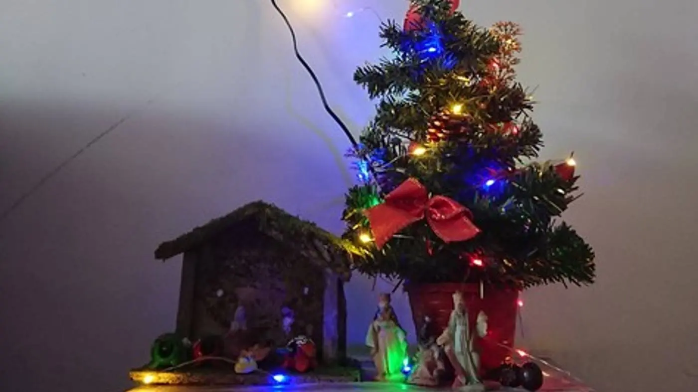 Christmas project: Control lights with the voice and Raspberry Pi ...